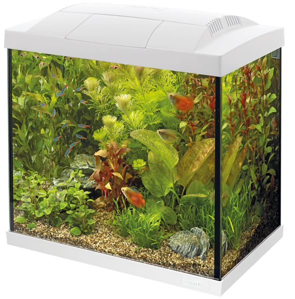 SuperFish Start 70 Tropical Kit White - The Pet Centre