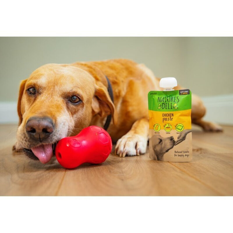 Natures Deli Chicken Paste Pouch 100g - The Pet Centre